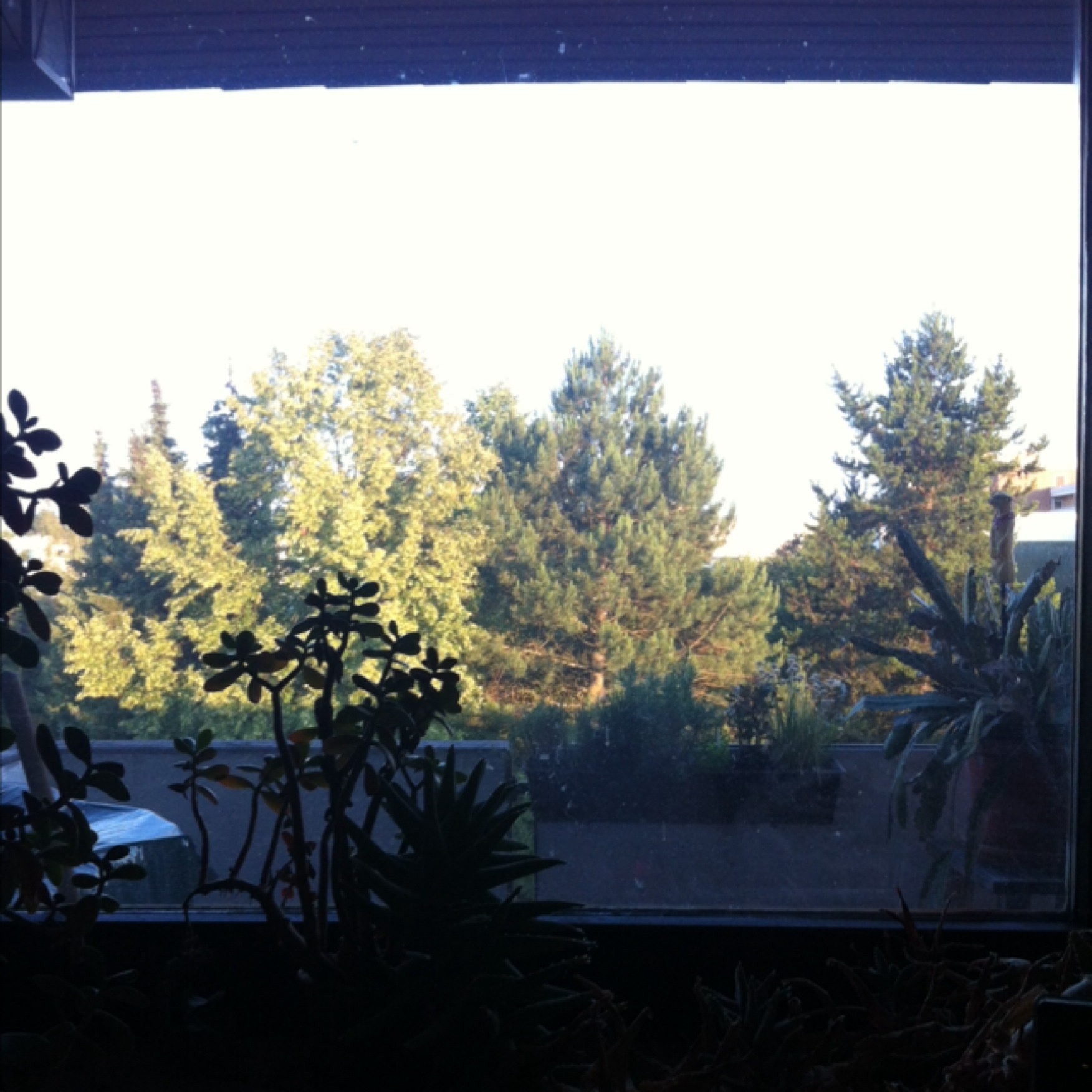 Actionbound – leineberg - Smartphone rally – Scavenger hunt app ...