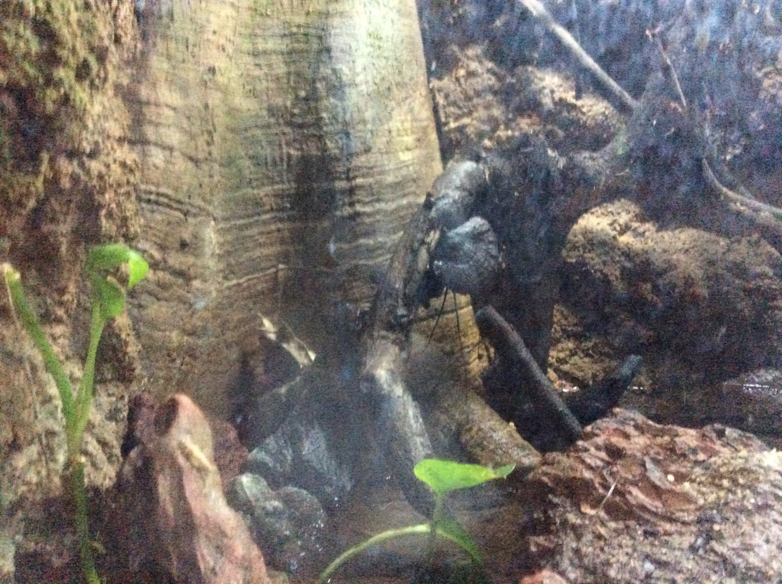 Actionbound – Zoo Trail 3Gen - Erlebnistour – Handy-Rallye ...