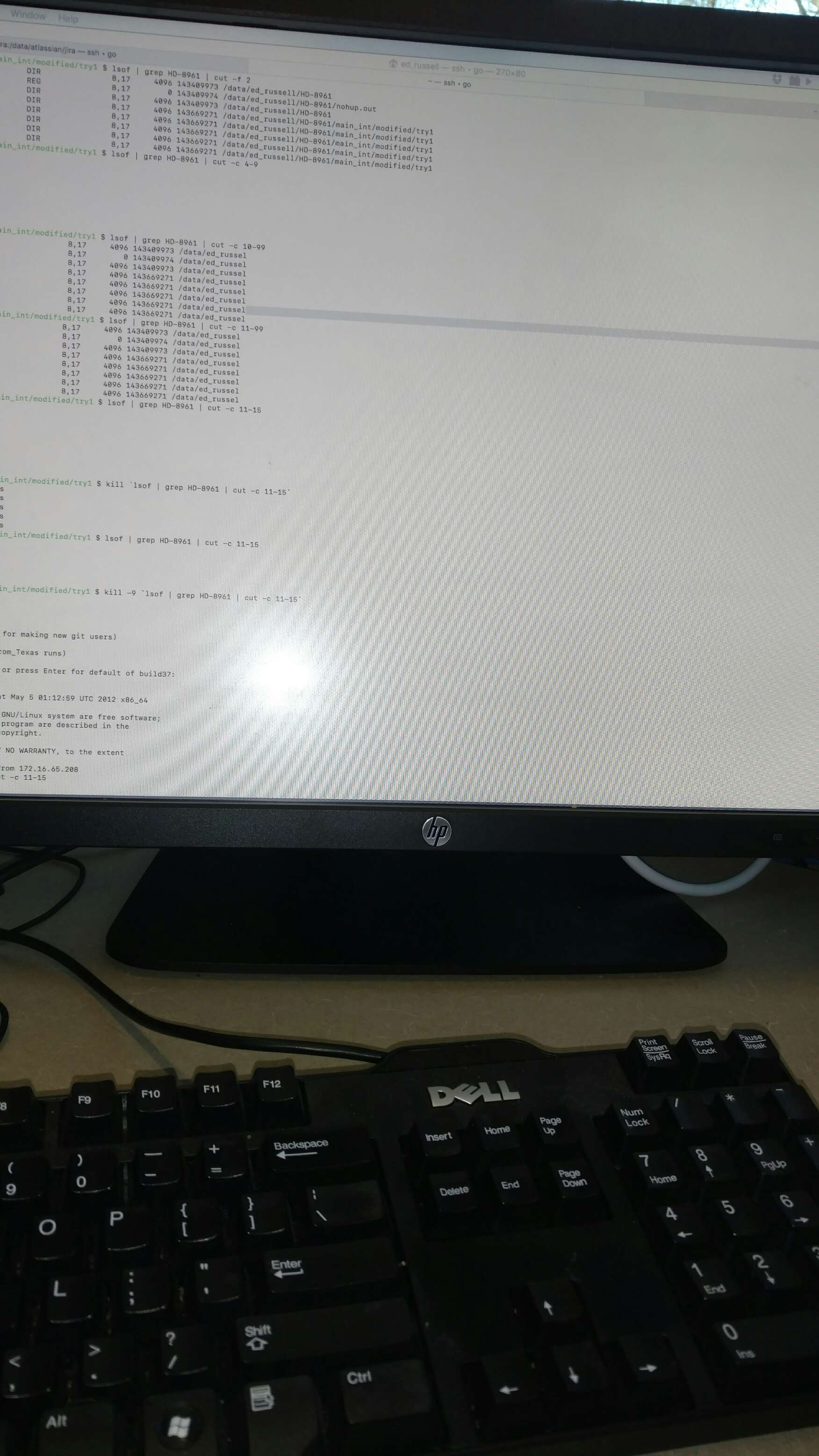 Actionbound – Dragon Unt - Smartphone rally – Scavenger hunt app ...