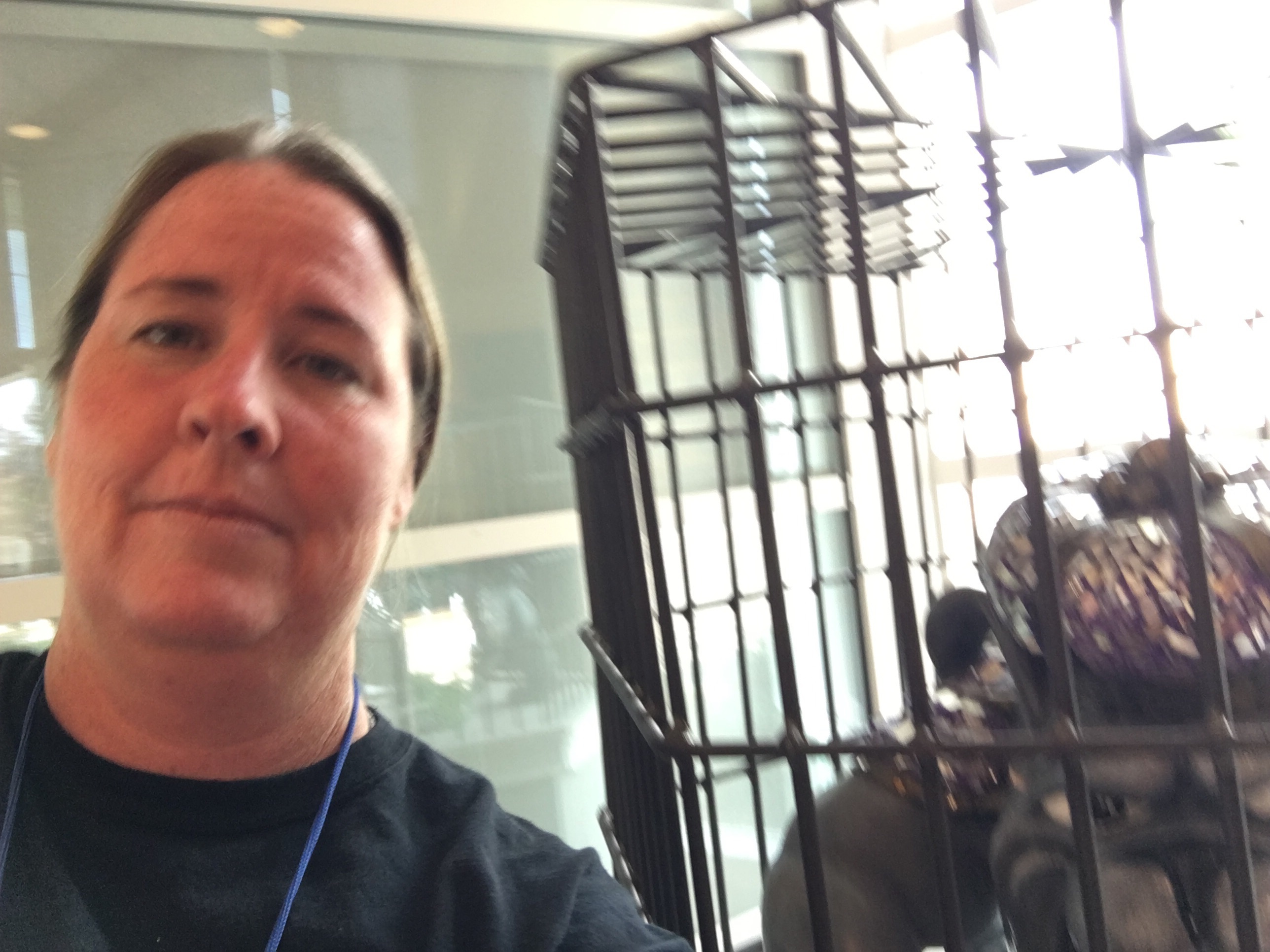 Actionbound – Let's Be Champions Together! - Smartphone rally ...