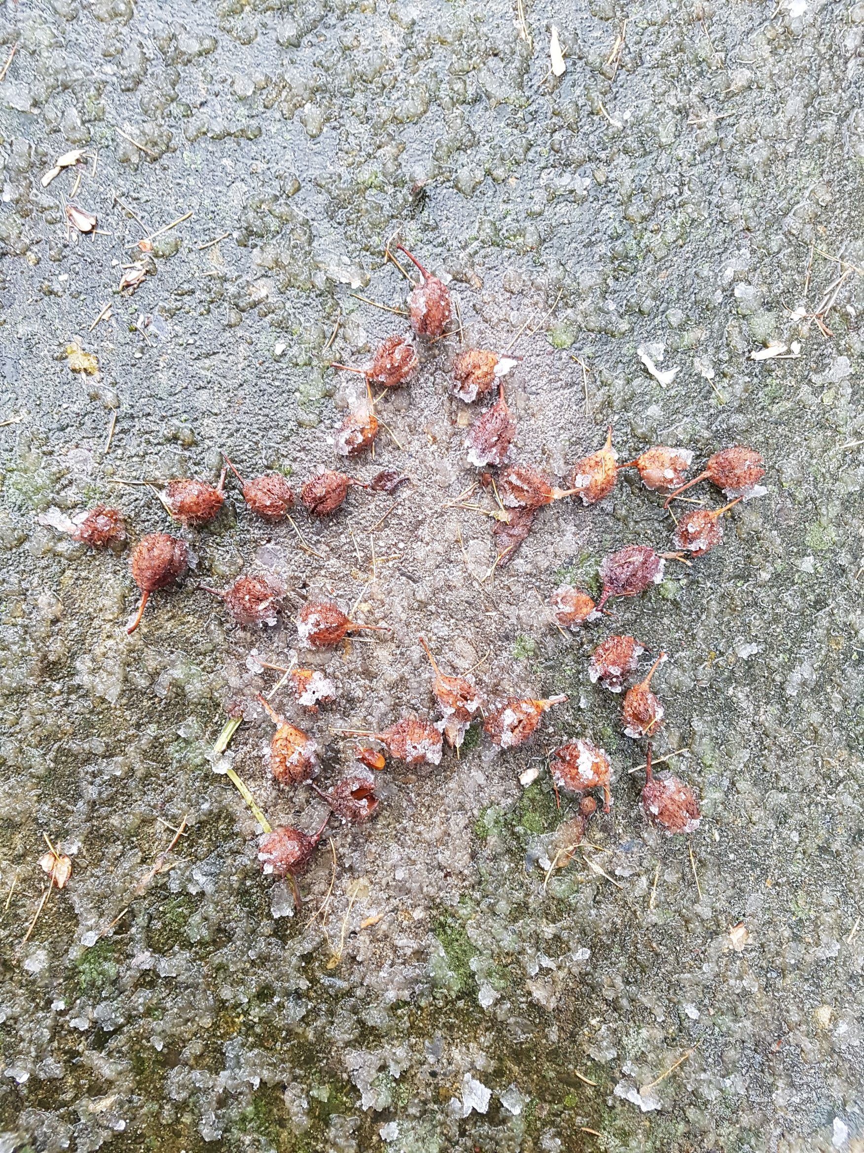 Actionbound – Result for RiMo in Bound Chlausanlass 2020 | Create your ...